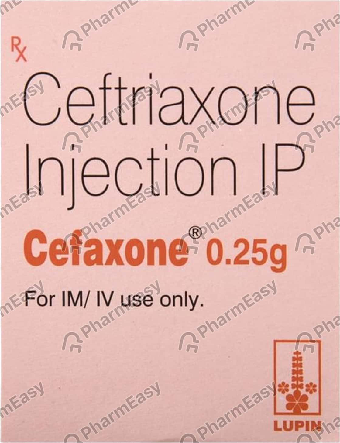 Cefaxone 250 MG Powder For Injection (1): Uses, Side Effects, Price ...