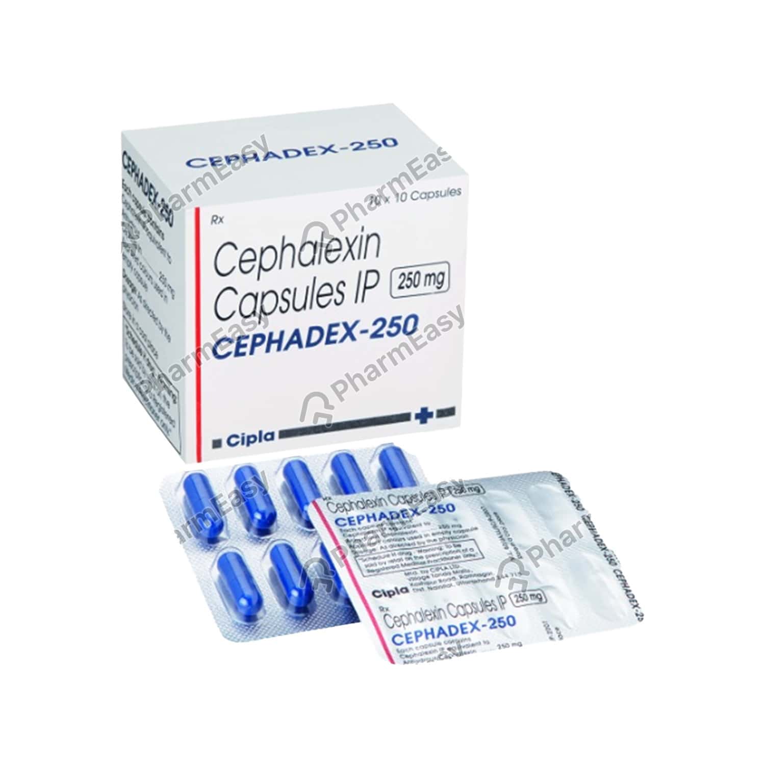 Buy Cephadex 250 MG Capsule (10) Online at Flat 18% OFF* | PharmEasy