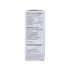 Esiflo 250mcg Transhaler 120md - Uses, Side Effects, Dosage ...