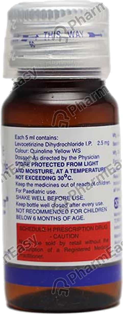 Lezyncet 2.5 MG/5ML Syrup (30): Uses, Side Effects, Price & Dosage ...