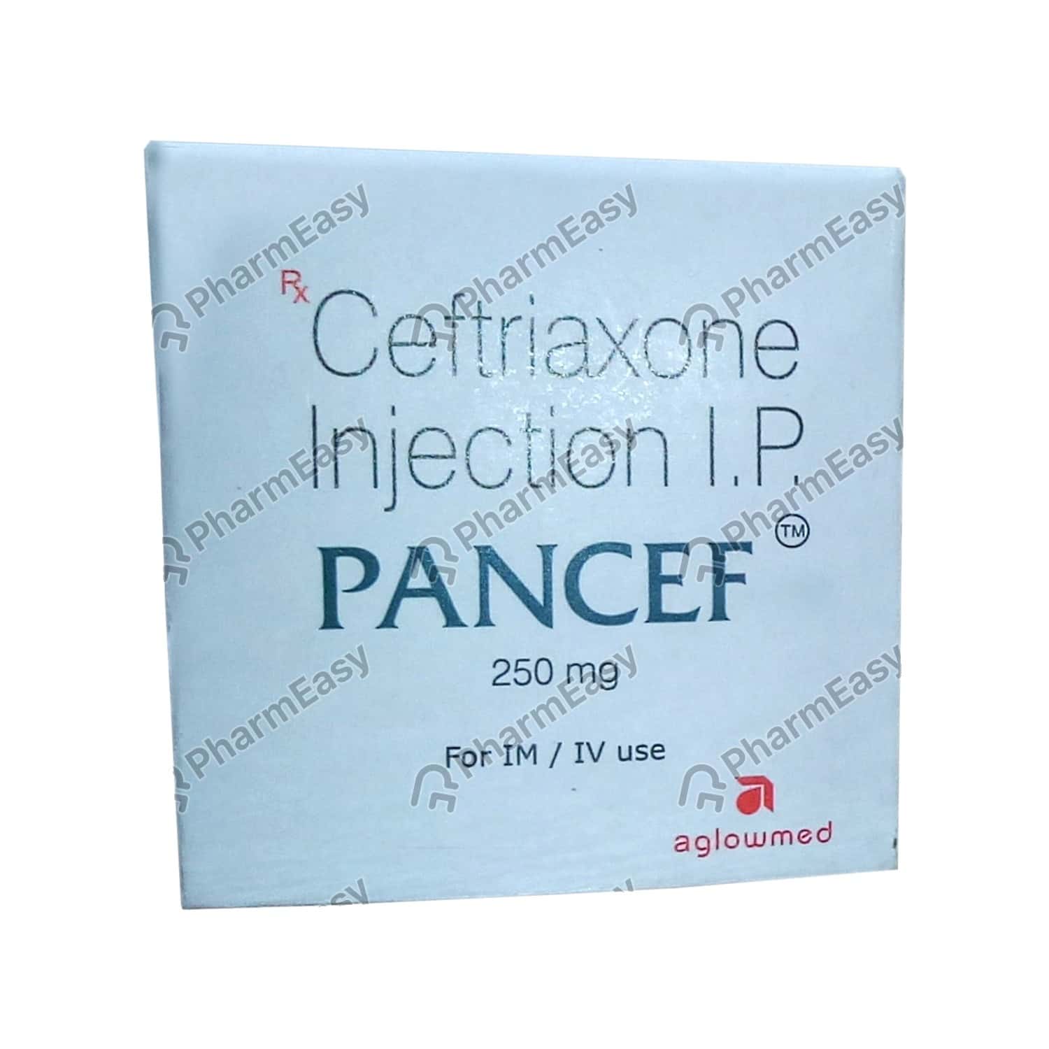 Pancef 250 MG Powder For Injection (0.25): Uses, Side Effects, Price ...