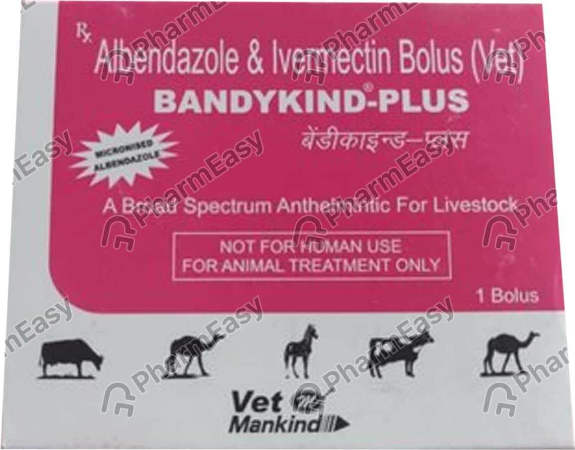 Bandykind Plus Suspension (30): Uses, Side Effects, Price & Dosage ...