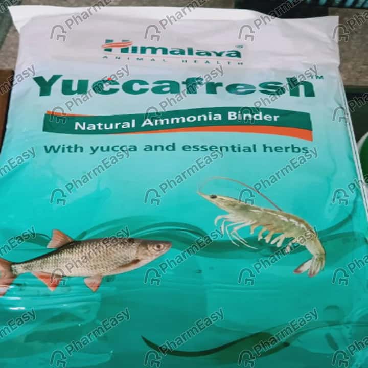 Buy YUCCAFRESH POWDER VET 1KG Online & Get Upto 60% OFF at PharmEasy
