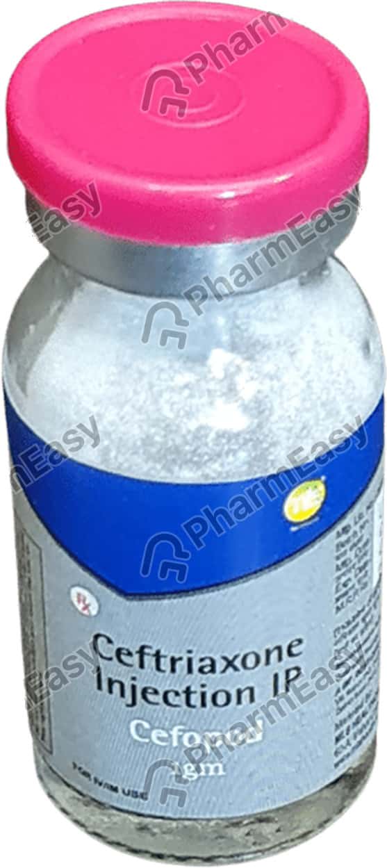 Buy Cefopod 1000 MG Powder For Injection (1) Online at Flat 15% OFF ...