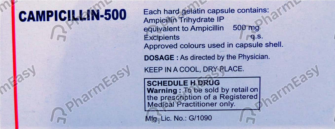 Campicillin 500 MG Capsule (10): Uses, Side Effects, Price & Dosage ...