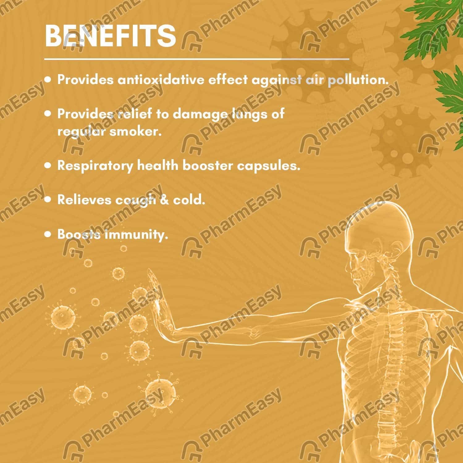 Buy Pulmoheal 0 MG Capsule (5) Online at Flat 15% OFF | PharmEasy