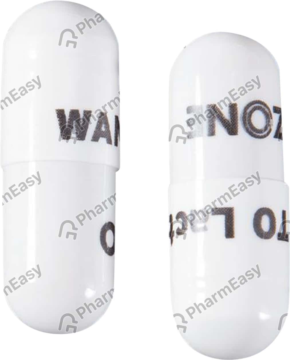 Buy WANTO LACT STRIP OF 10 CAPSULES Online & Get Upto 60% OFF at PharmEasy