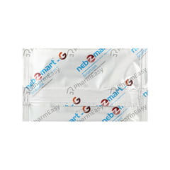 Nebzmart G 25 MCG Smartule (2) - Uses, Side Effects, Dosage ...