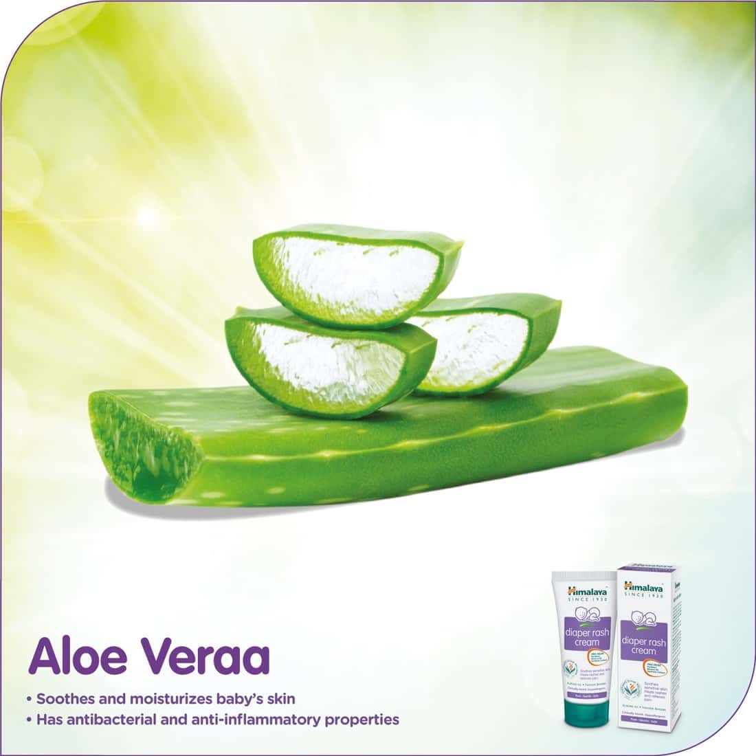 Buy HIMALAYA DIAPER RASH CREAM ( 20GM) Online & Get Upto 60% OFF at ...