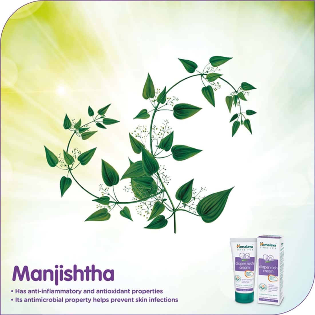 Buy HIMALAYA DIAPER RASH CREAM TUBE OF 50 G Online & Get Upto 60% OFF ...