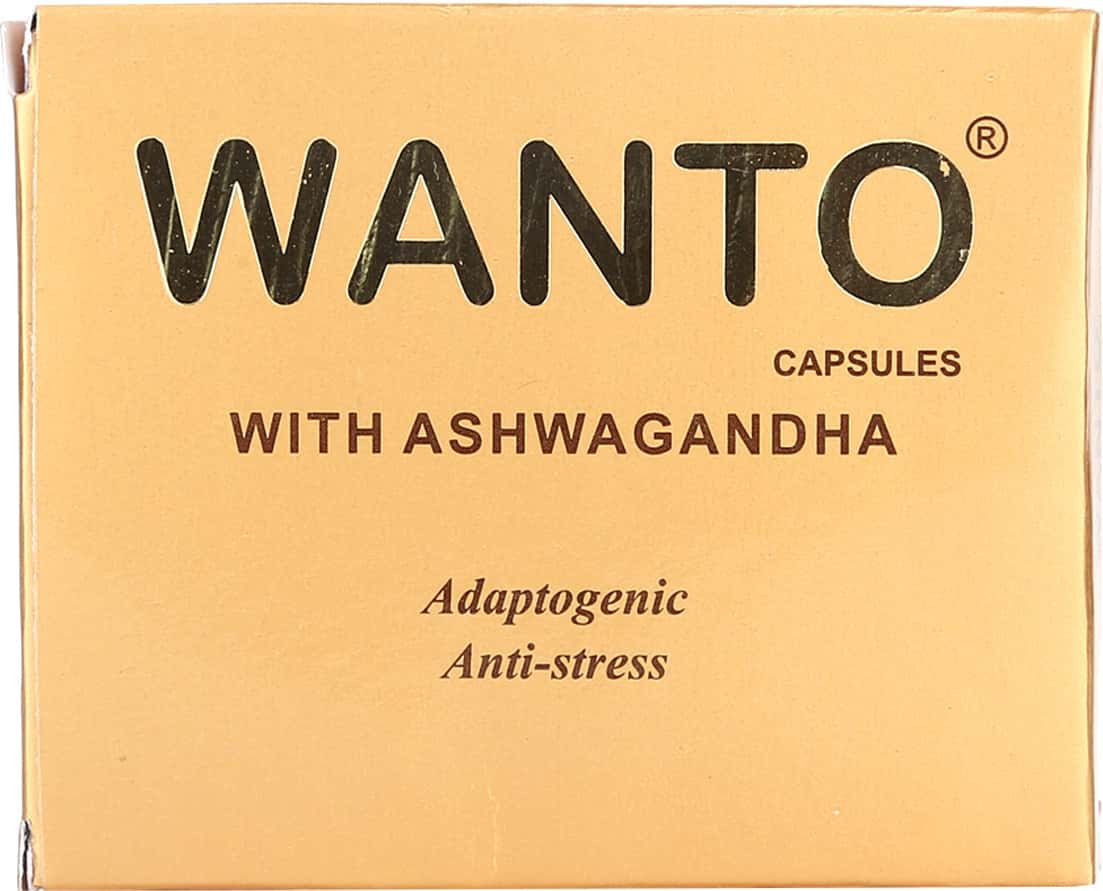 Buy AYUR CHAMP ASHWAGANDHA CAPSULES - 240MG - 700 CAPSULES VALUE PACK ...