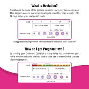 Buy I-KNOW OVULATION KIT |OVULATION DETECTION KIT FOR WOMEN PLANNING ...