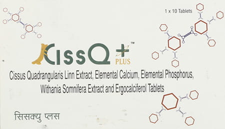 Buy GINKOCER PLUS STRIP OF 10 TABLETS Online & Get Upto 60% OFF at ...