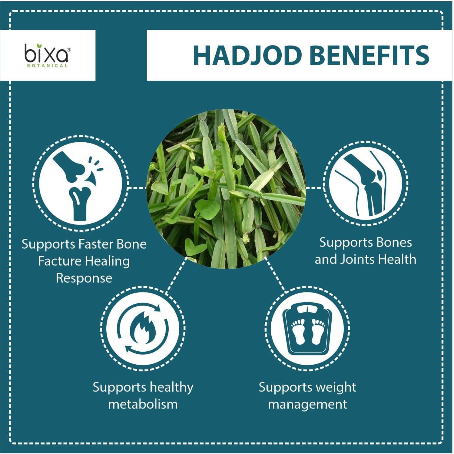 Buy BIXA BOTANICAL HADJOD POWDER- SUPPORTS BONE, JOINTS & CARTILAGE ...