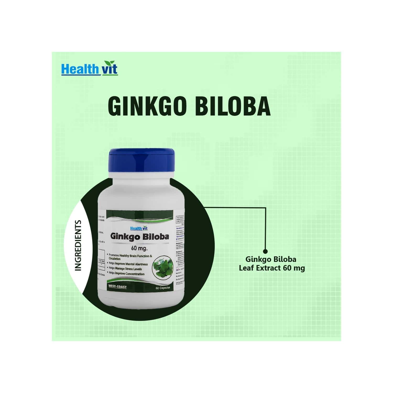 Buy Healthvit Ginkgo Biloba ( Supports Memory, Focus & Clarity ) - 60mg ...
