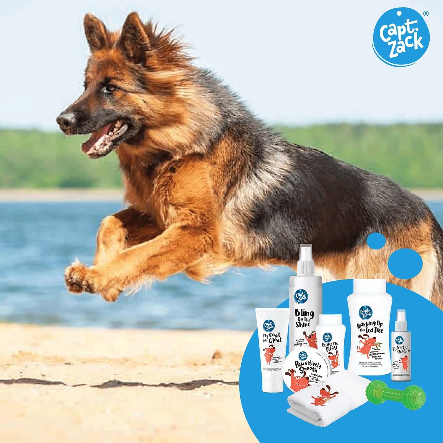 Captain Zack The German Shepherd Groom Box – Ultimate 8-in-1, Head-to ...