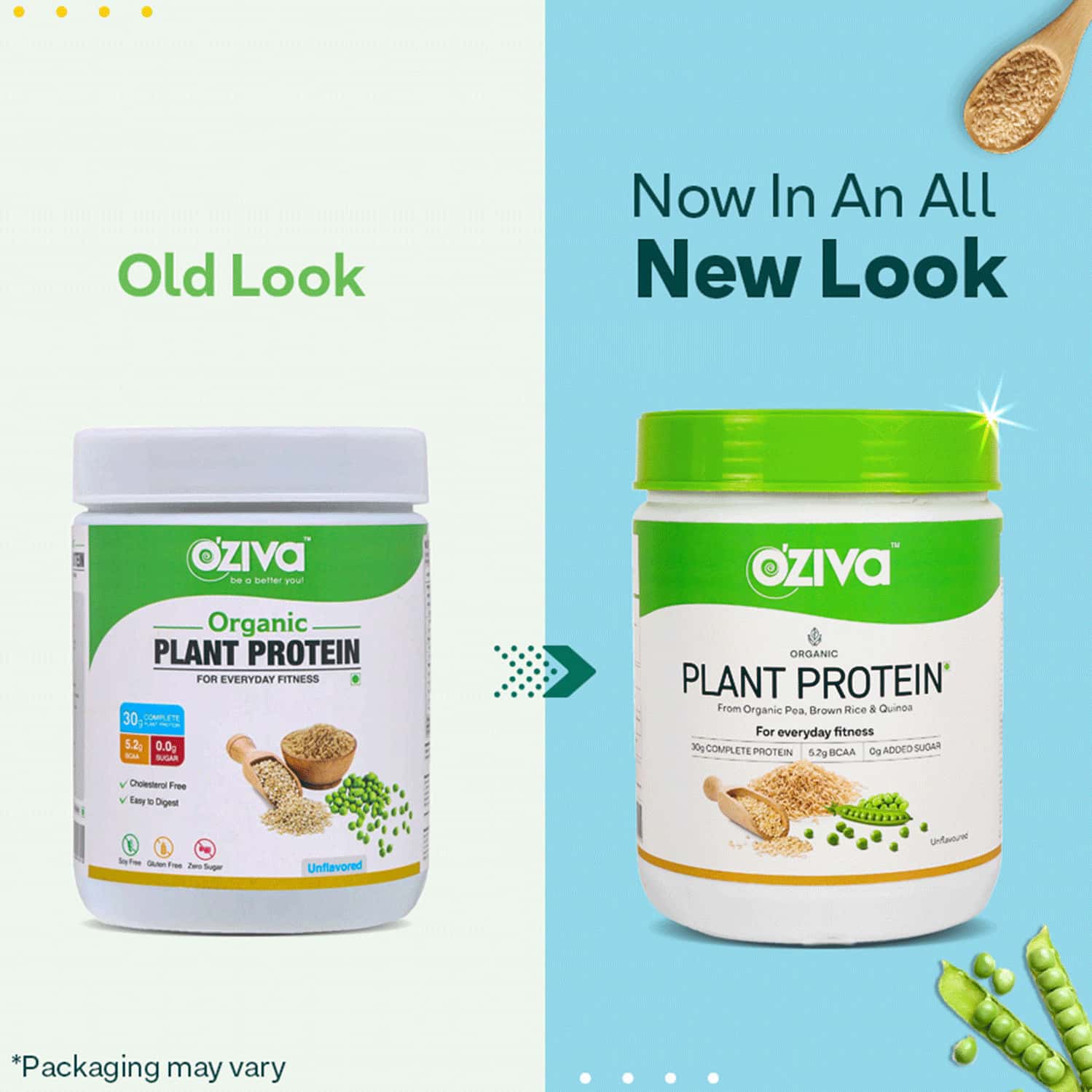 Buy OZIVA ORGANIC PLANT PROTEIN 500G | UNFLAVOURED PLANT PROTEIN FOR ...