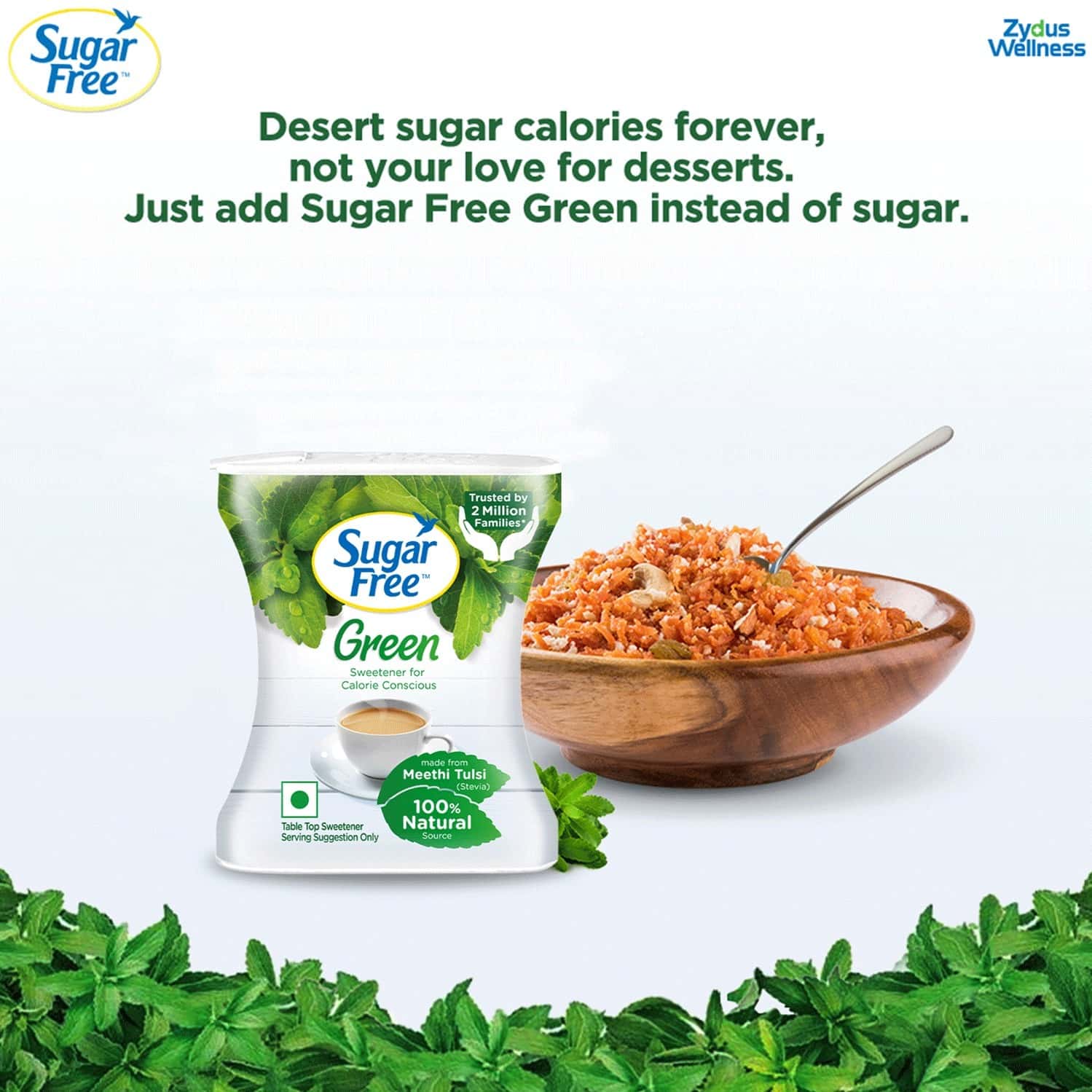 Buy SUGAR FREE GREEN MADE FROM MEETHI TULSI (STEVIA) 100% NATURAL ...