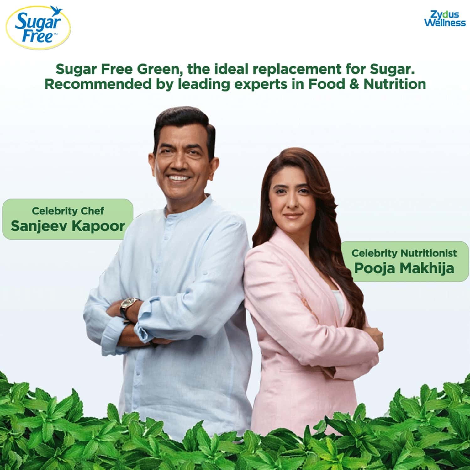 Buy SUGAR FREE GREEN MADE FROM MEETHI TULSI (STEVIA) 100% NATURAL ...