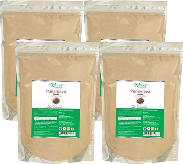 Buy NATURZ AYURVEDA PUNARNAVA POWDER - 1 KG POWDER - PACK OF 4 Online ...