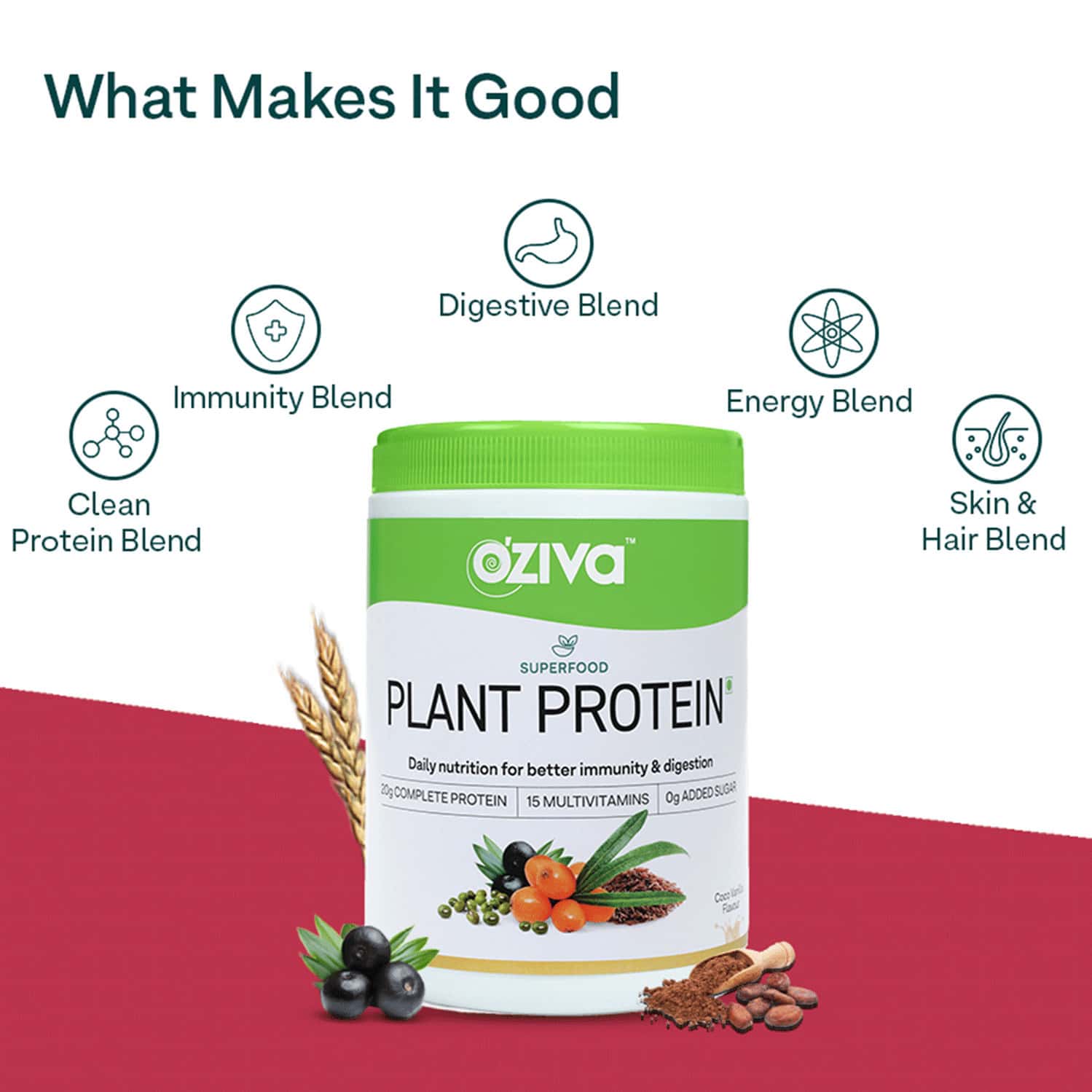Buy OZIVA SUPERFOOD PLANT PROTEIN COCO VANILLA 500G | BETTER ENERGY ...