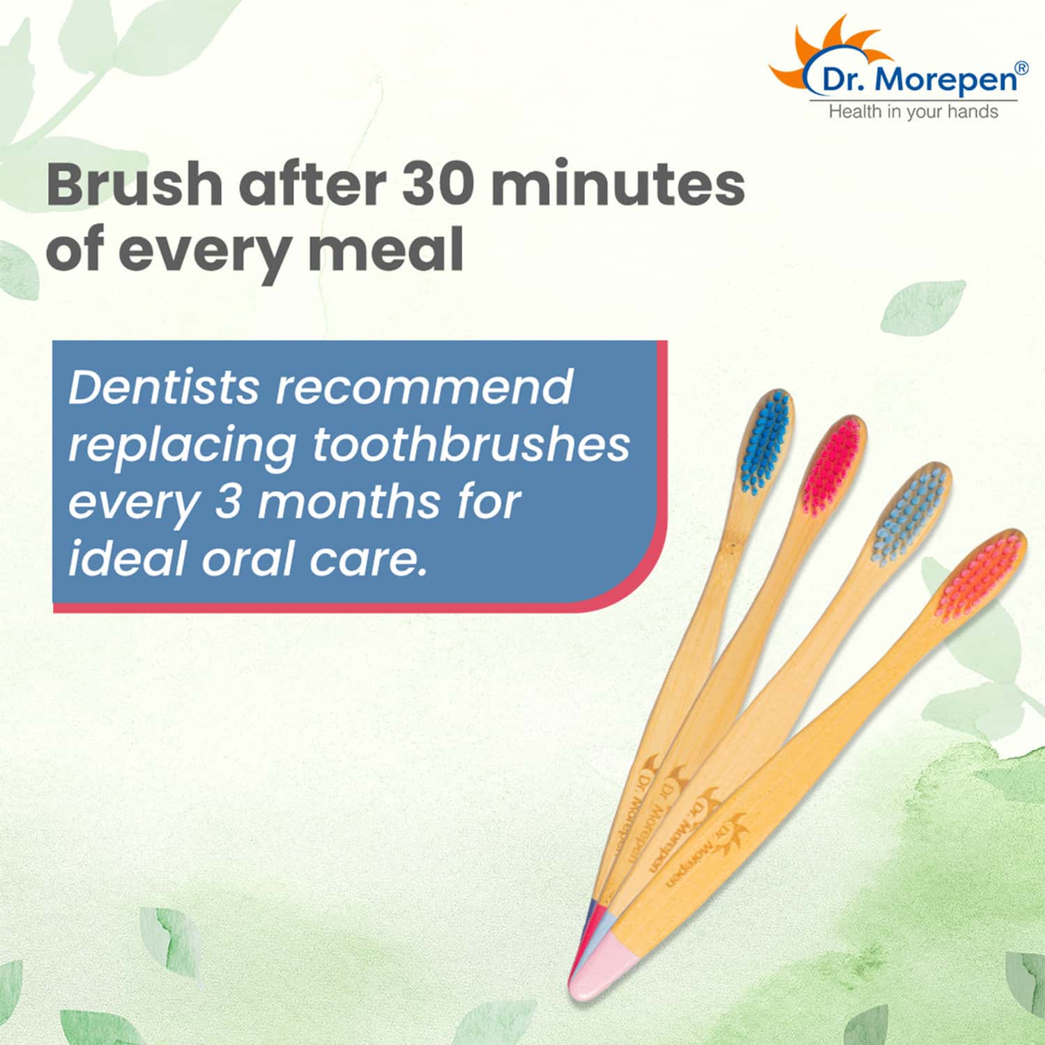 Buy DR. MOREPEN ORGANIC BAMBOO TOOTHBRUSH FAMILY PACK - 2 KIDS & 2 ...