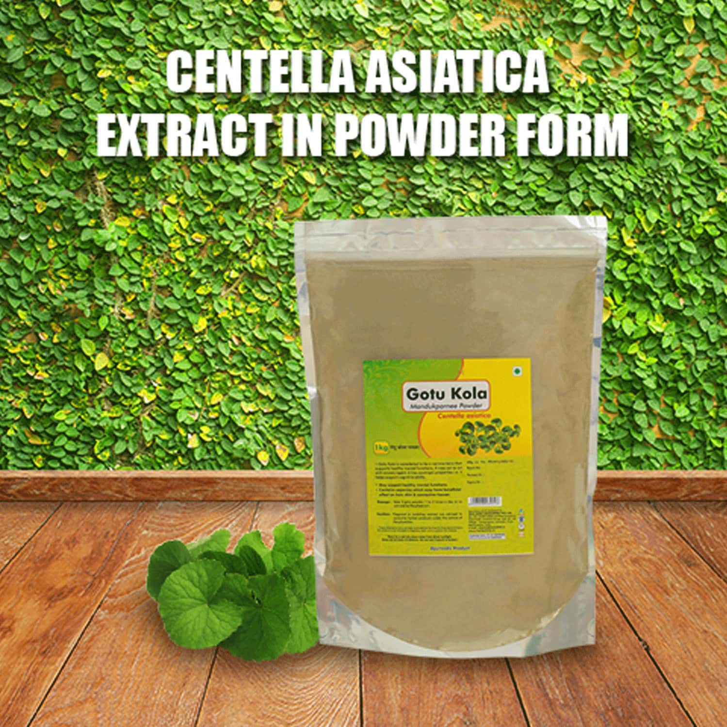 Buy HERBAL HILLS GOTU KOLA POWDER - 1KG - PACK OF 2 Online & Get Upto ...