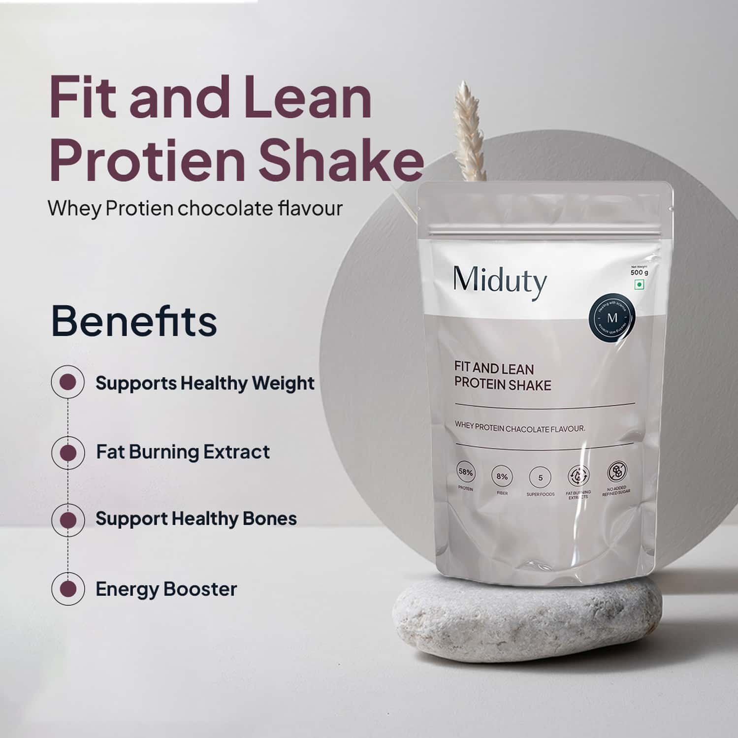 Buy MIDUTY PALAK NOTES FIT N LEAN PROTEIN SHAKE- LEAN PROTEIN FOR ...