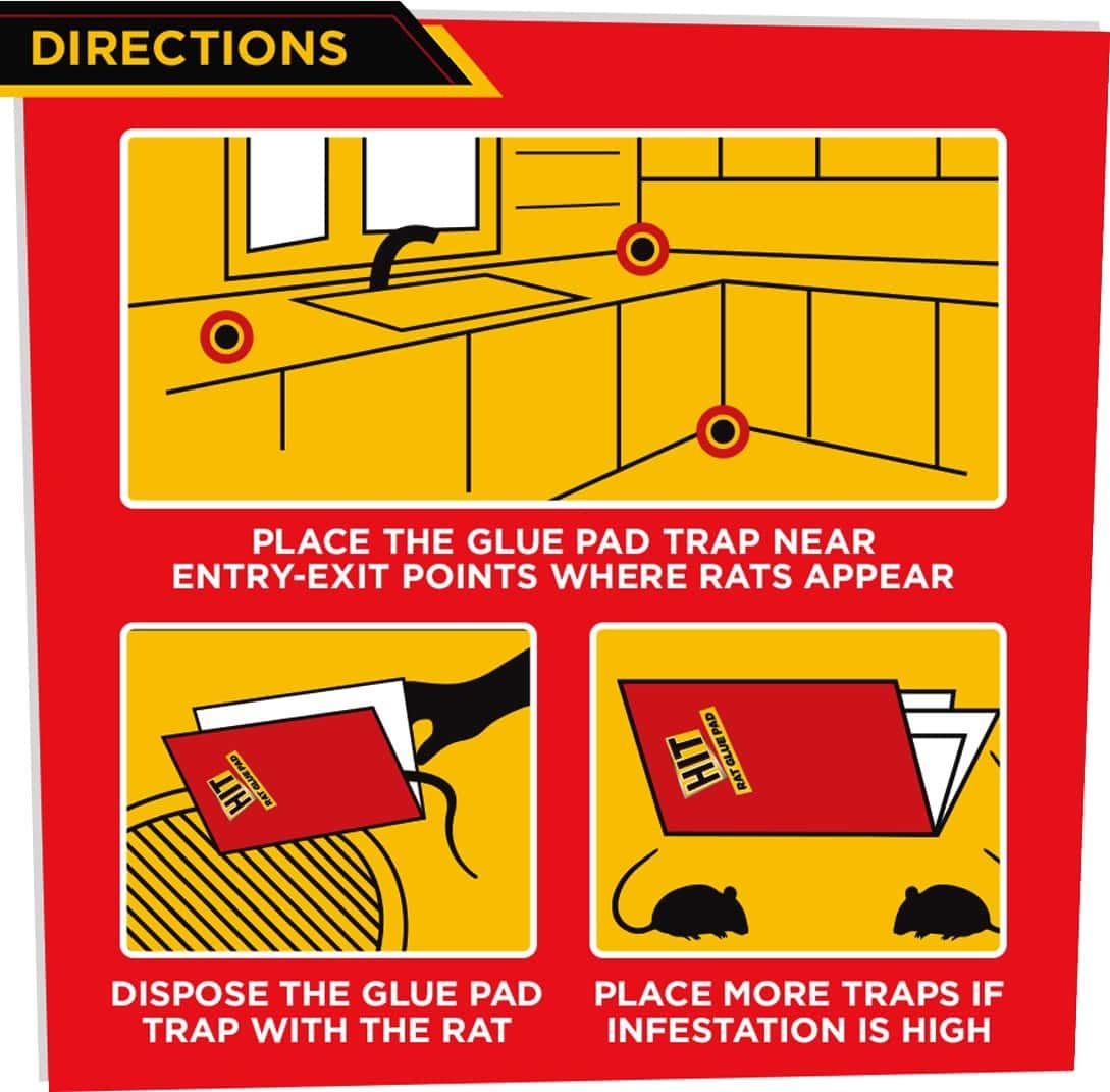 Buy GODREJ HIT RAT GLUE PAD - JUMBO PACK OF 3 Online & Get Upto 60% OFF ...