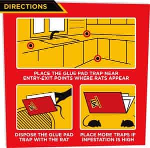 Buy GODREJ HIT RAT GLUE PAD - JUMBO PACK OF 3 Online & Get Upto 60% OFF ...