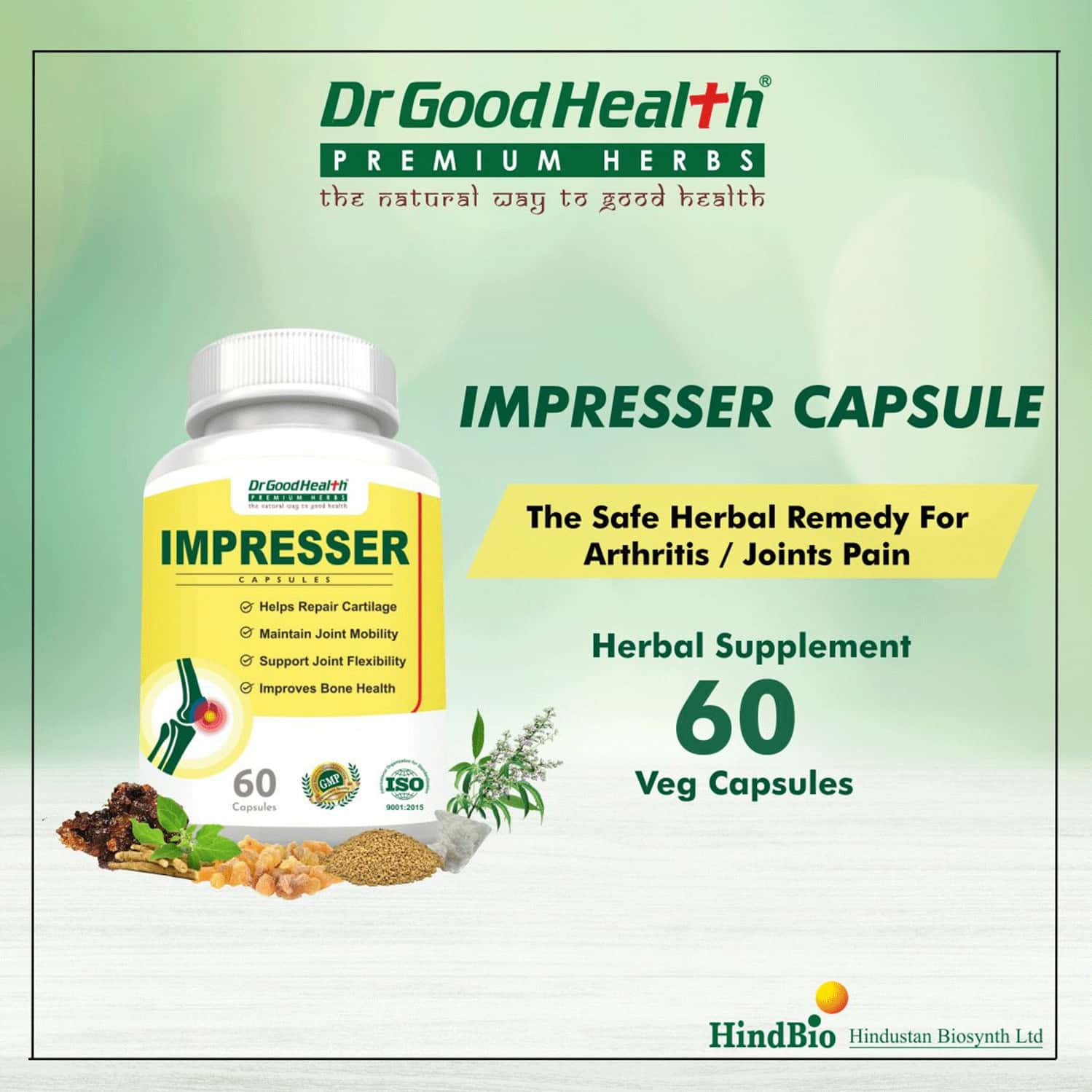 Buy DR GOODHEALTH PAIN RELIEF IMPRESSER CAPSULE AYURVEDIC FORMULATIONS ...