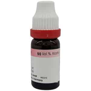 Buy DR. RECKEWEG STRAMONIUM DILUTION 30 CH 11 ML Online & Get Upto 60% ...