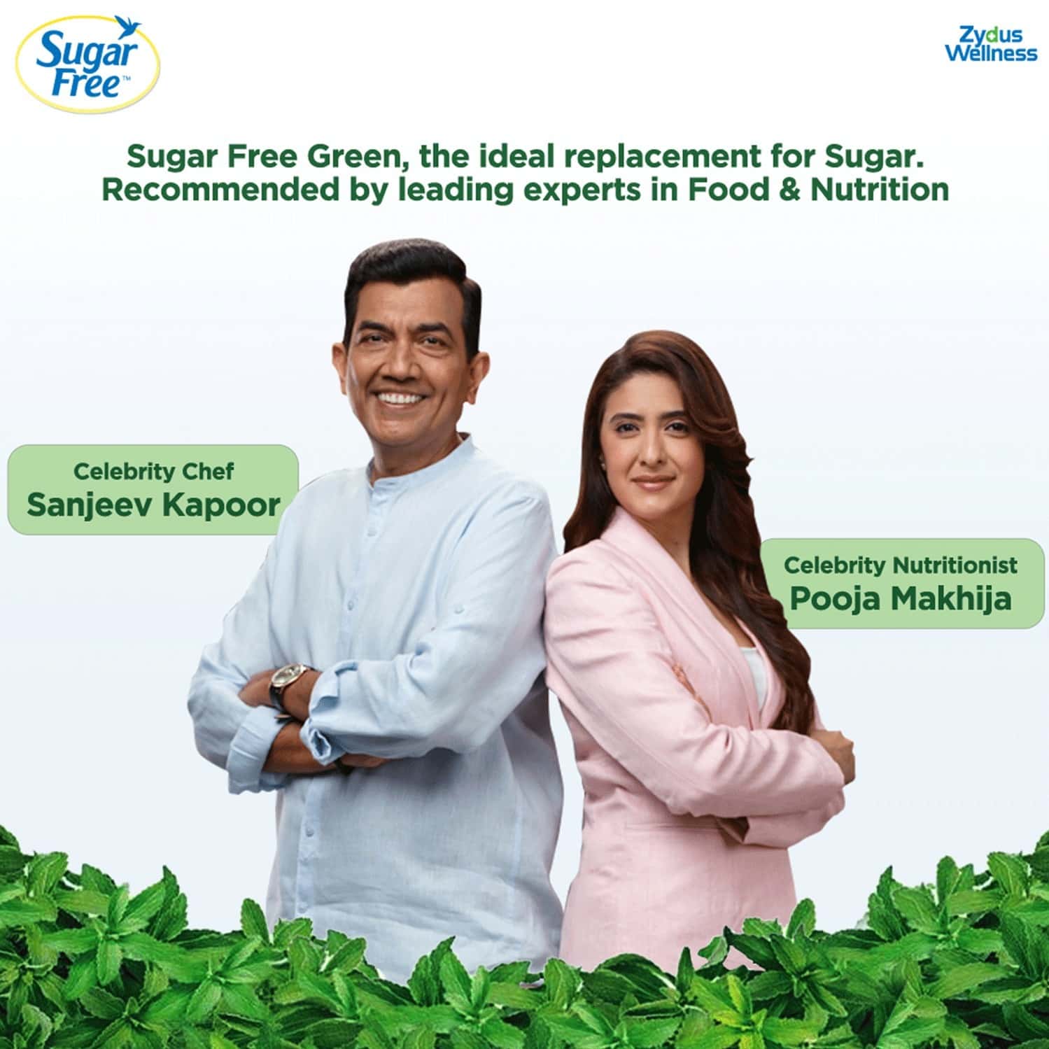 Buy SUGAR FREE GREEN MADE FROM MEETHI TULSI (STEVIA) 100% NATURAL ...