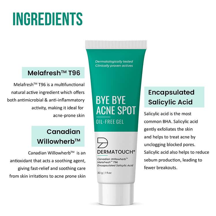 Buy DERMATOUCH BYE BYE ACNE SPOT OIL FREE GEL FOR ACNE (ALL SKIN) - 30G ...
