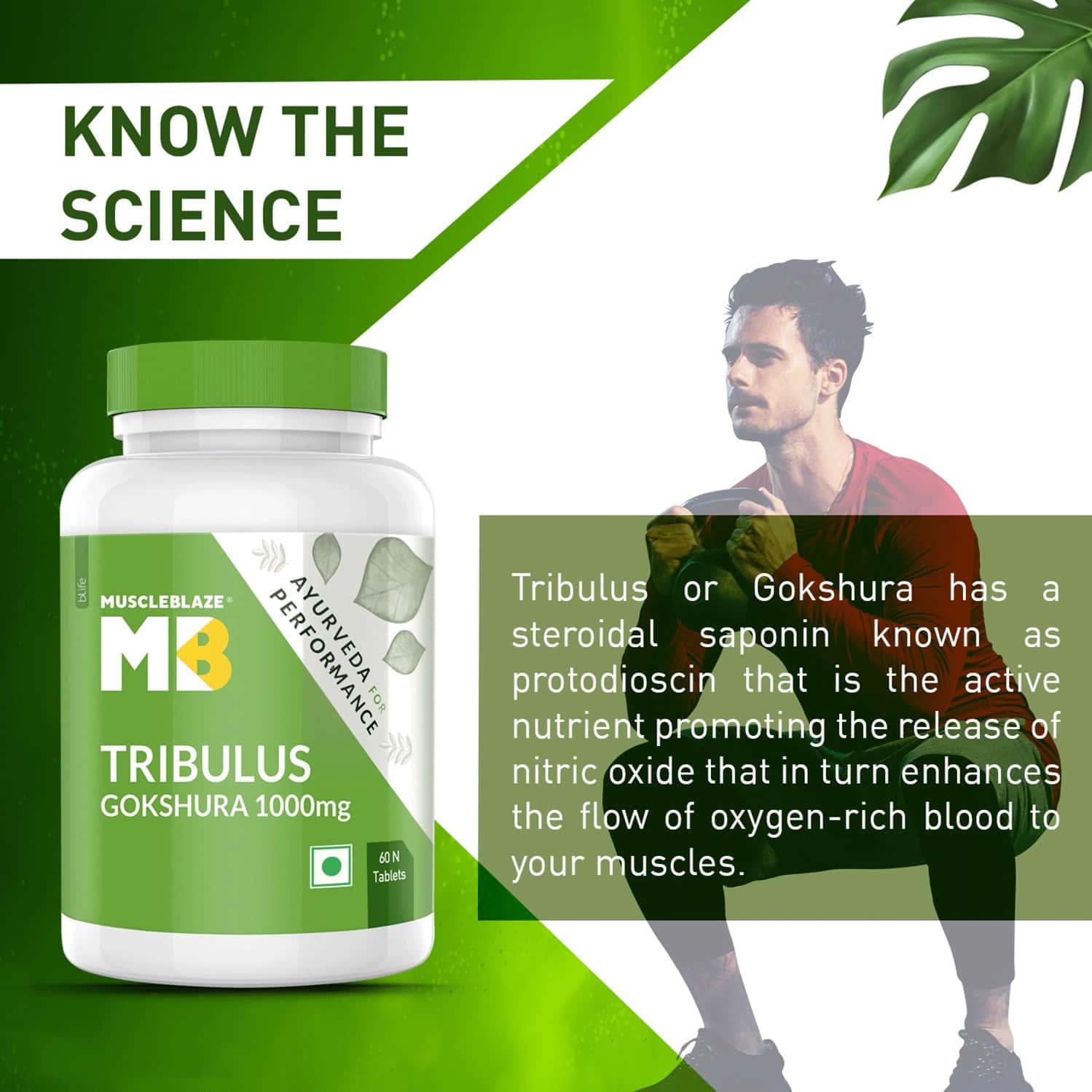 Buy MUSCLEBLAZE TRIBULUS 1000MG SUPPLEMENT 60 TABLETS Online & Get Upto ...
