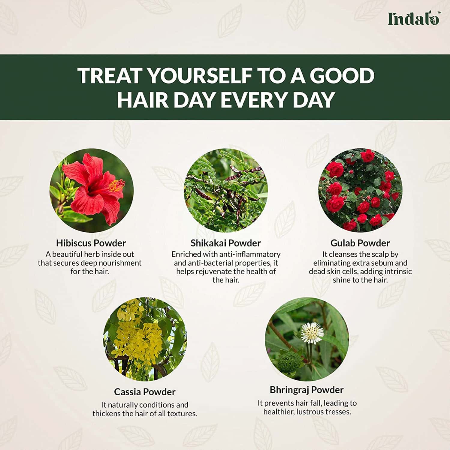 Buy INDALO ALL-NATURAL HAIR TREATMENT PACK ENRICHED WITH BHRINGRAJ AND ...
