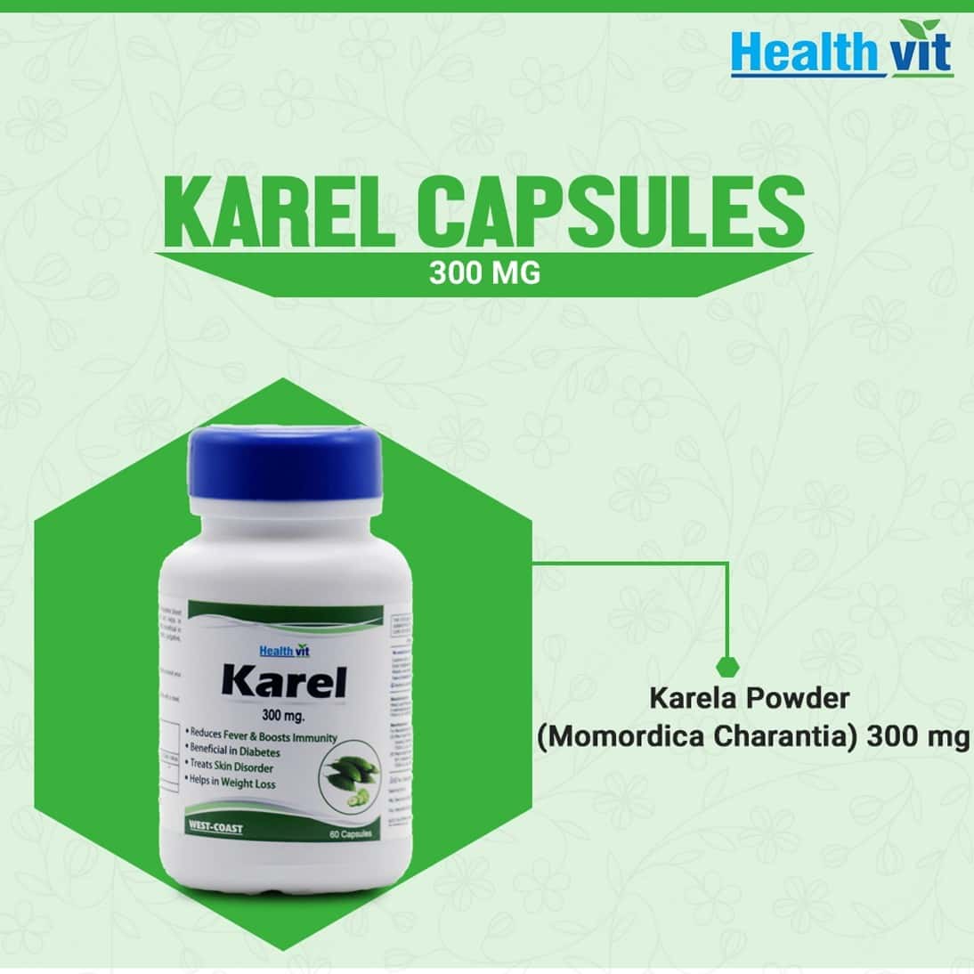 Buy HEALTHVIT KAREL KARELA POWDER 300 MG -60 CAPSULES Online & Get Upto ...