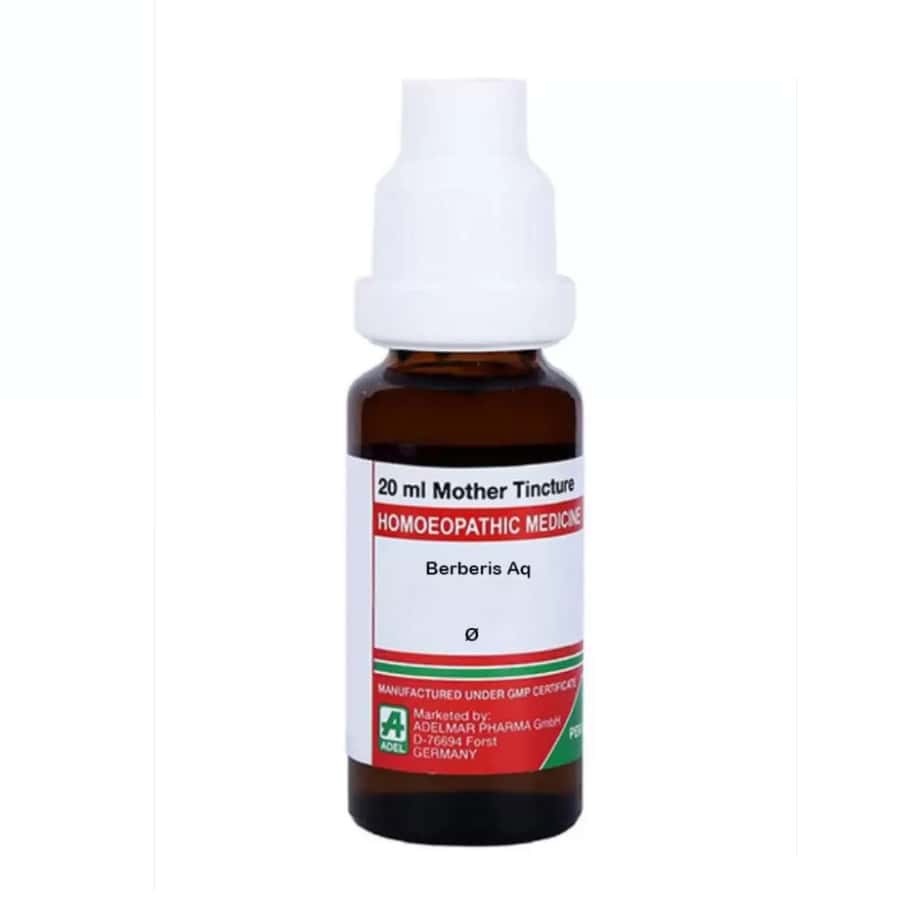 Buy DR. RECKEWEG GERMANY HOMEOPATHIC BERBERIS VULGARIS MOTHER TINCTURE ...