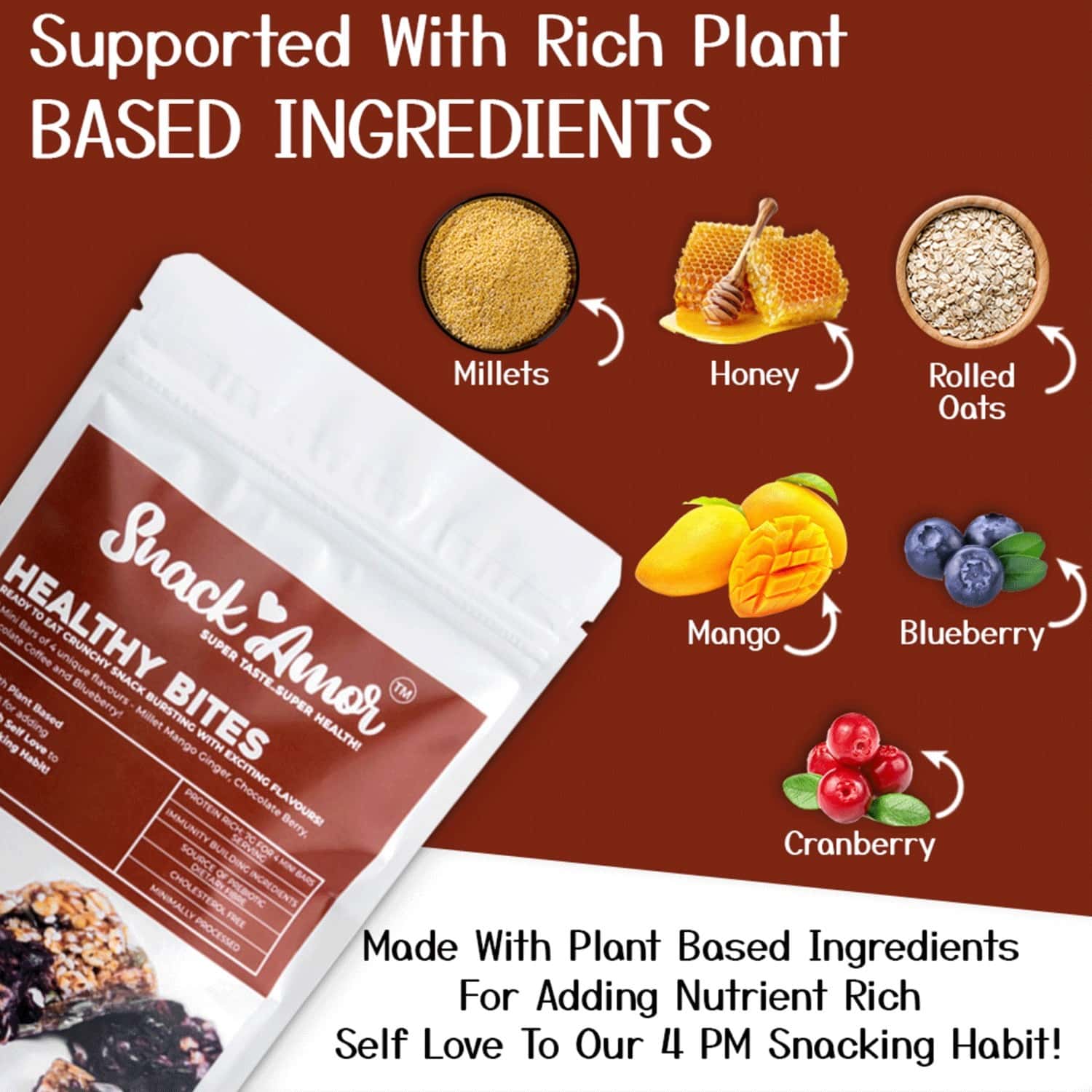 Buy SNACK AMOR HEALTHY BITES - MINI BARS - PROTEIN RICH BARS -PACK OF 1 ...