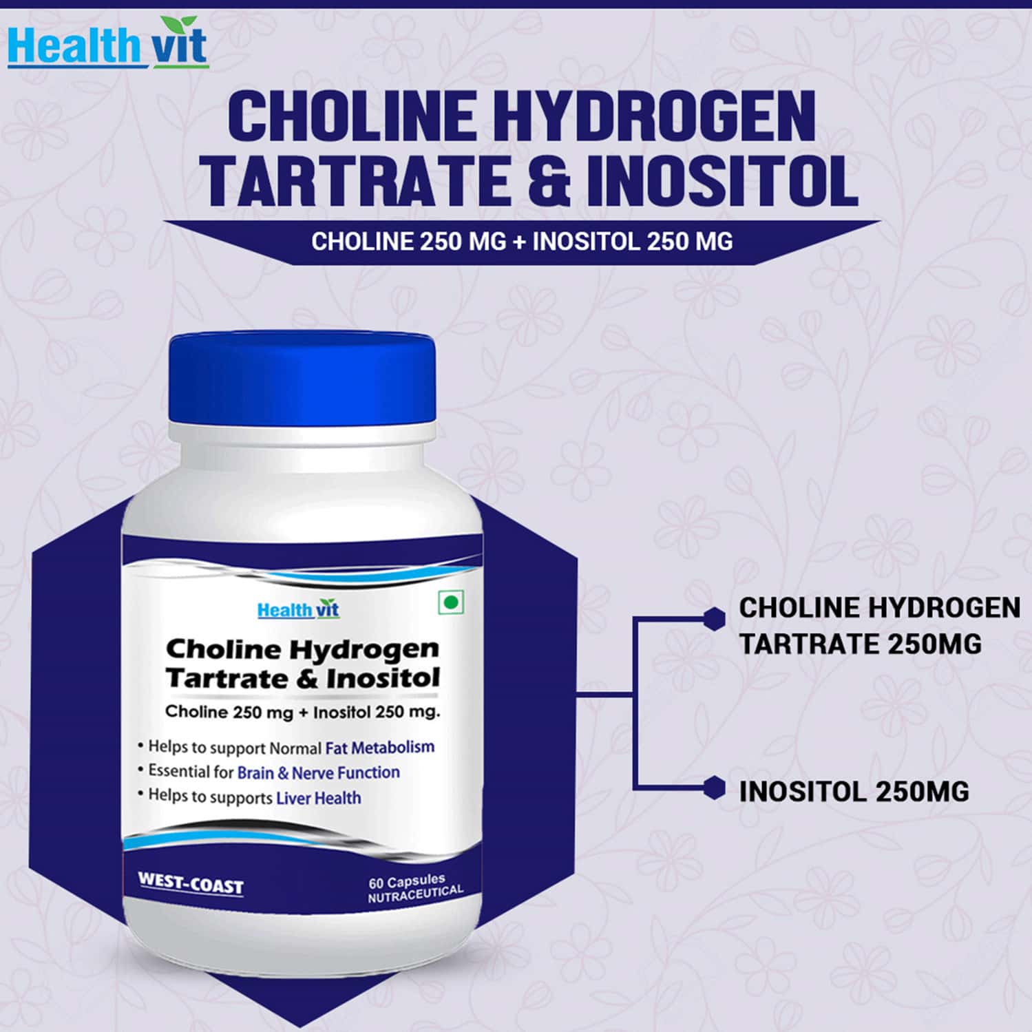 Buy HEALTHVIT CHOLINE HYDROGEN TARTRATE 250MG & INOSITOL 250 MG - 60 CAPSULES Online & Get Upto ...