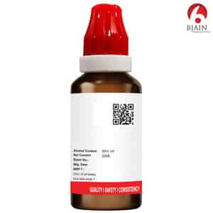 Buy BJAIN PHYLLANTHUS NIRURI 30C HOMEOPATHIC LIQUID DILUTION | 30ML ...