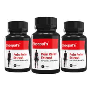 Buy SHEOPALS PAIN RELIEF CAPSULES FOR JOINTS & BODY MUSCULAR PAIN, BACK ...