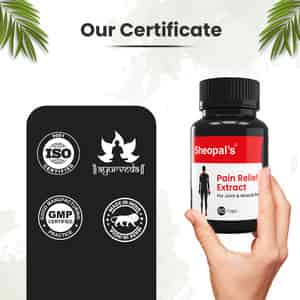 Buy SHEOPALS PAIN RELIEF CAPSULES FOR JOINTS & BODY MUSCULAR PAIN, BACK ...