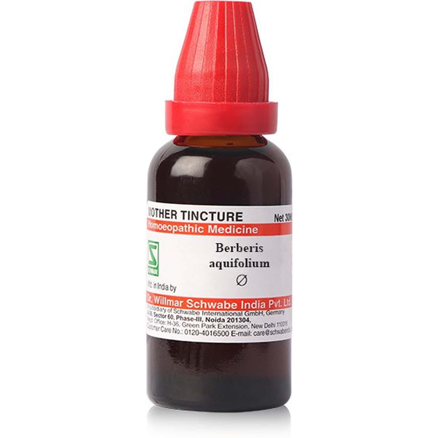 Buy DR.WILLMAR SCHWABE INDIA BIOFUNGIN HOMEOPATHIC MEDICINE 250 ML ...