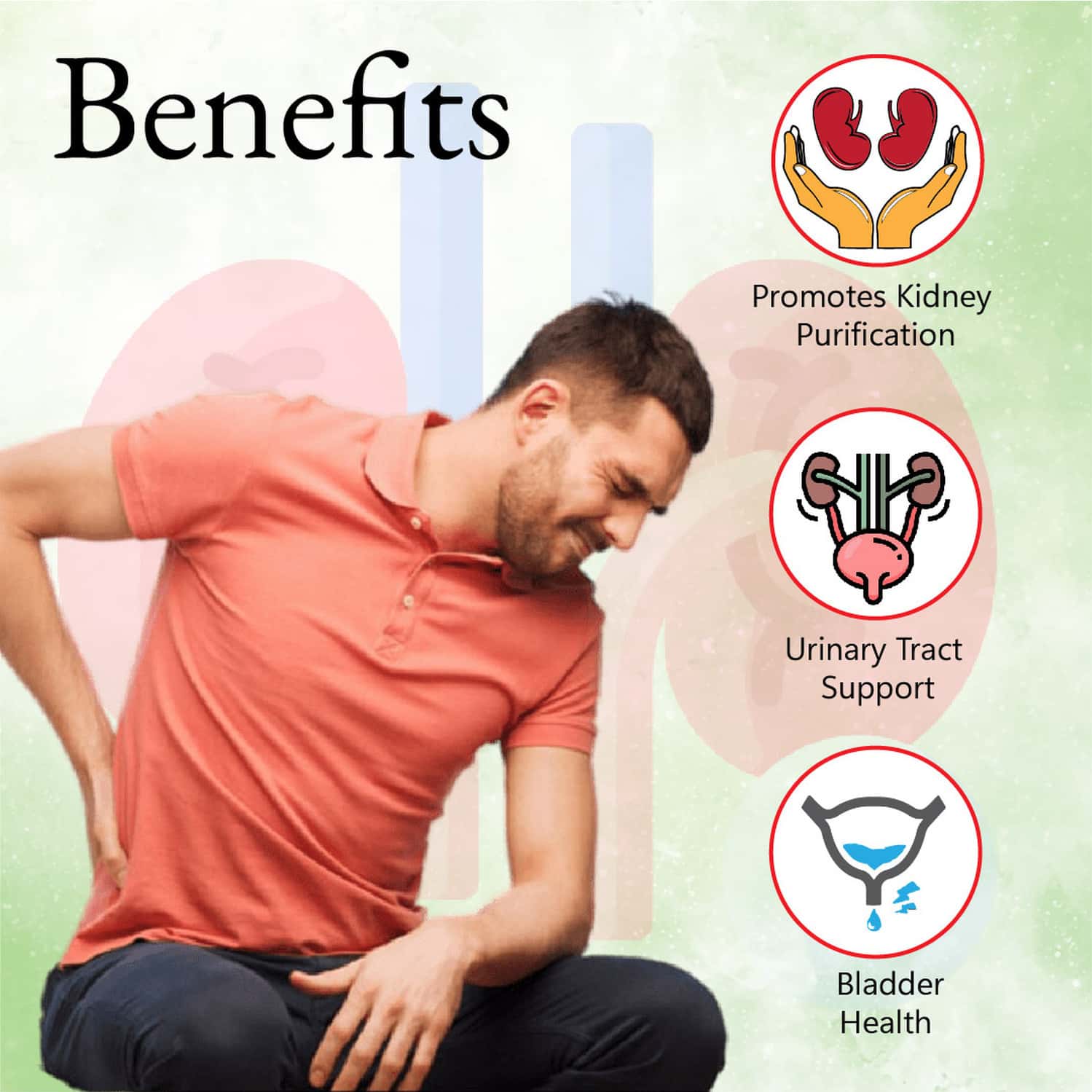 Buy CIPZER KIDNEY WELLNESS CAPSULES CRAFTED FOR KIDNEY STONE RELIEF ...