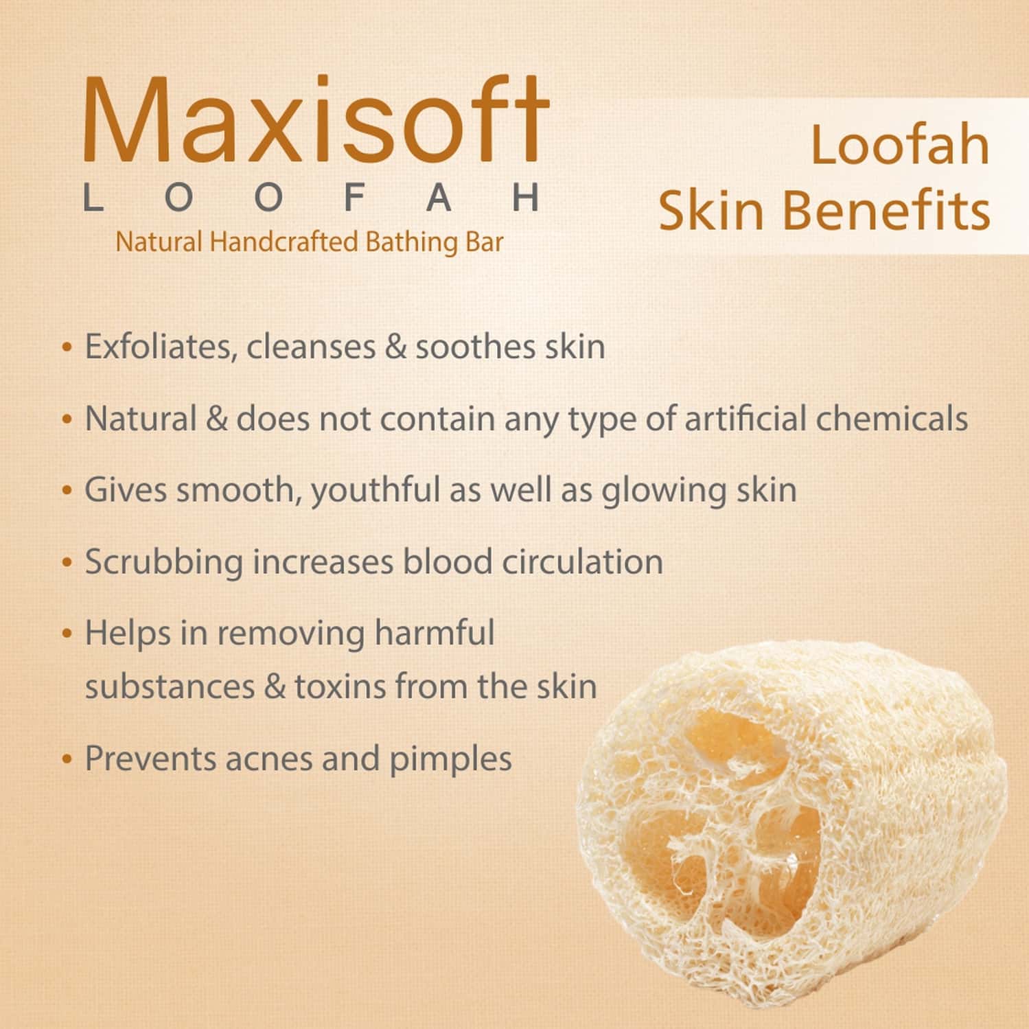 Buy MAXISOFT LOOFAH EXFOLIATING BATHING BAR (75 GM - PACK OF 6) Online ...