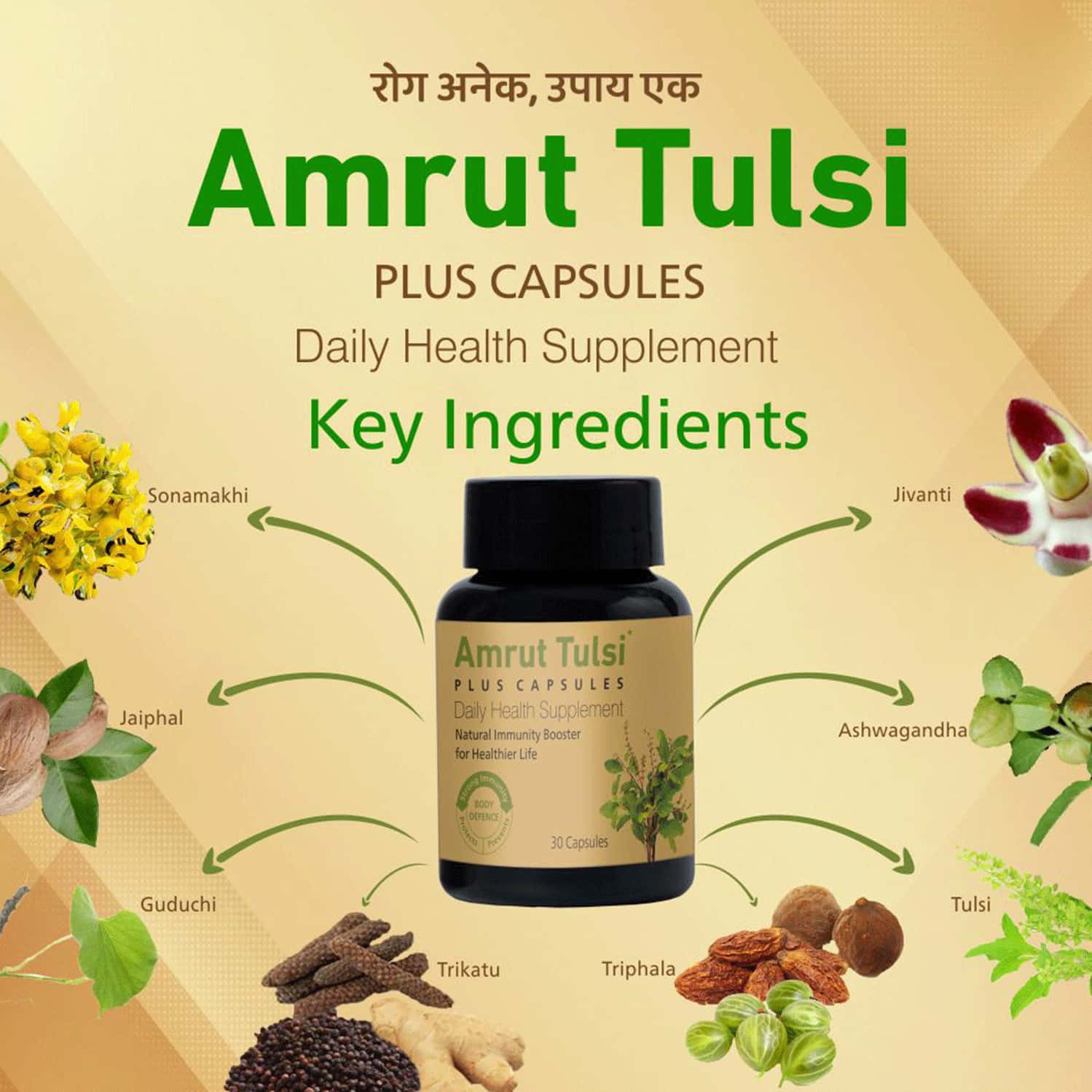 Buy AMRUT TULSI PLUS CAPSULES 30 CAPSULES (PACK OF 3) Online & Get Upto ...