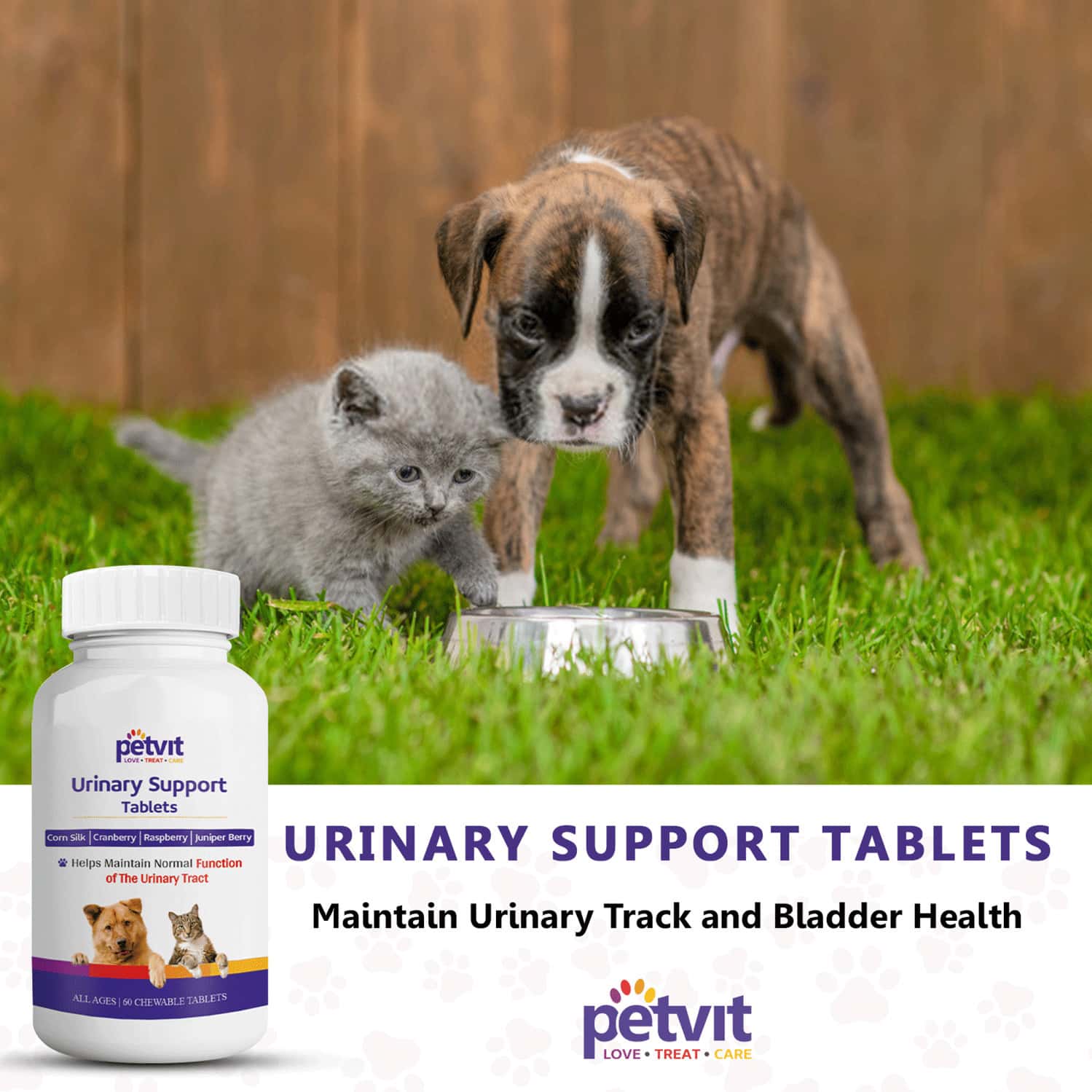 Buy PETVIT URINARY SUPPORT TABLETS ALL BREEDS OF DOGS & CATS - 60 ...