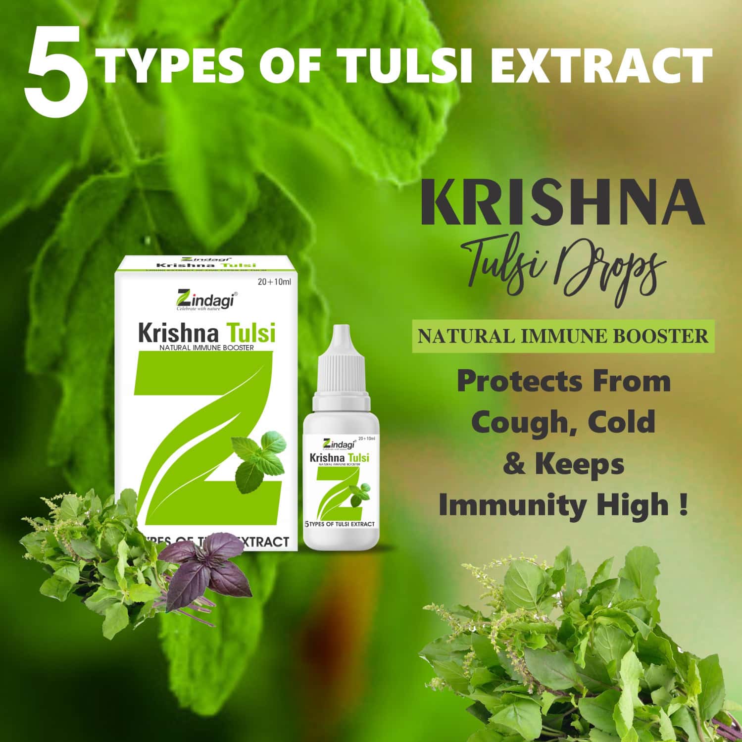 Buy ZINDAGI KRISHNA TULSI LIQUID EXTRACT|NATURAL ANTIOXIDANTS HELPFUL ...