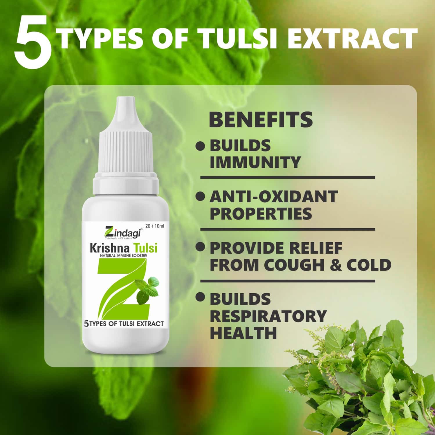 Buy ZINDAGI KRISHNA TULSI LIQUID EXTRACT|NATURAL ANTIOXIDANTS HELPFUL ...